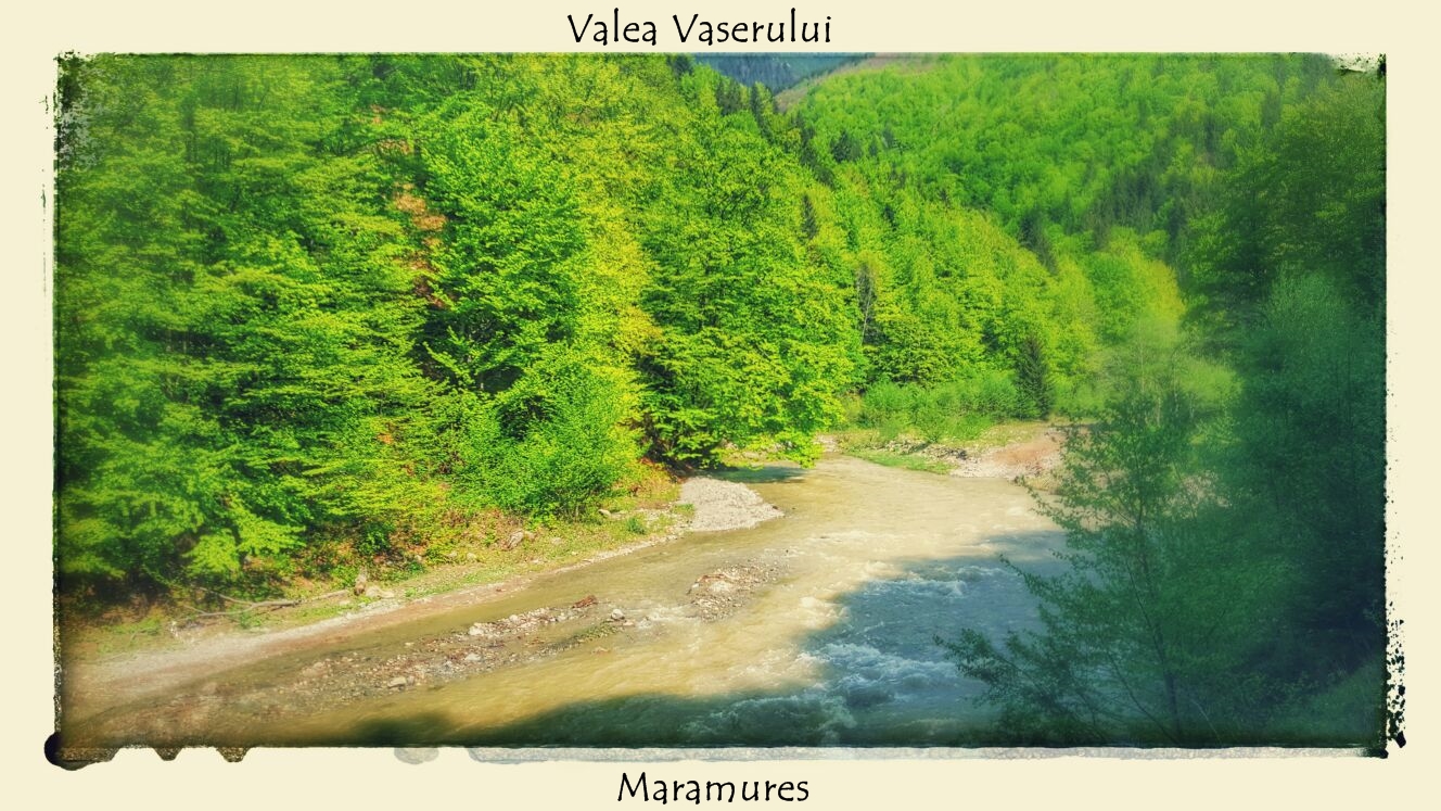 Valea Vaserului plimbare cu mocanita – Corina Costache