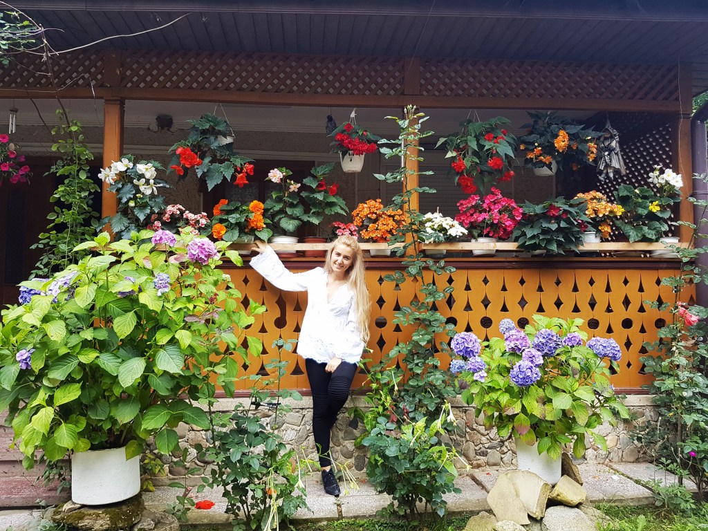 hai sa socializam – Corina Costache