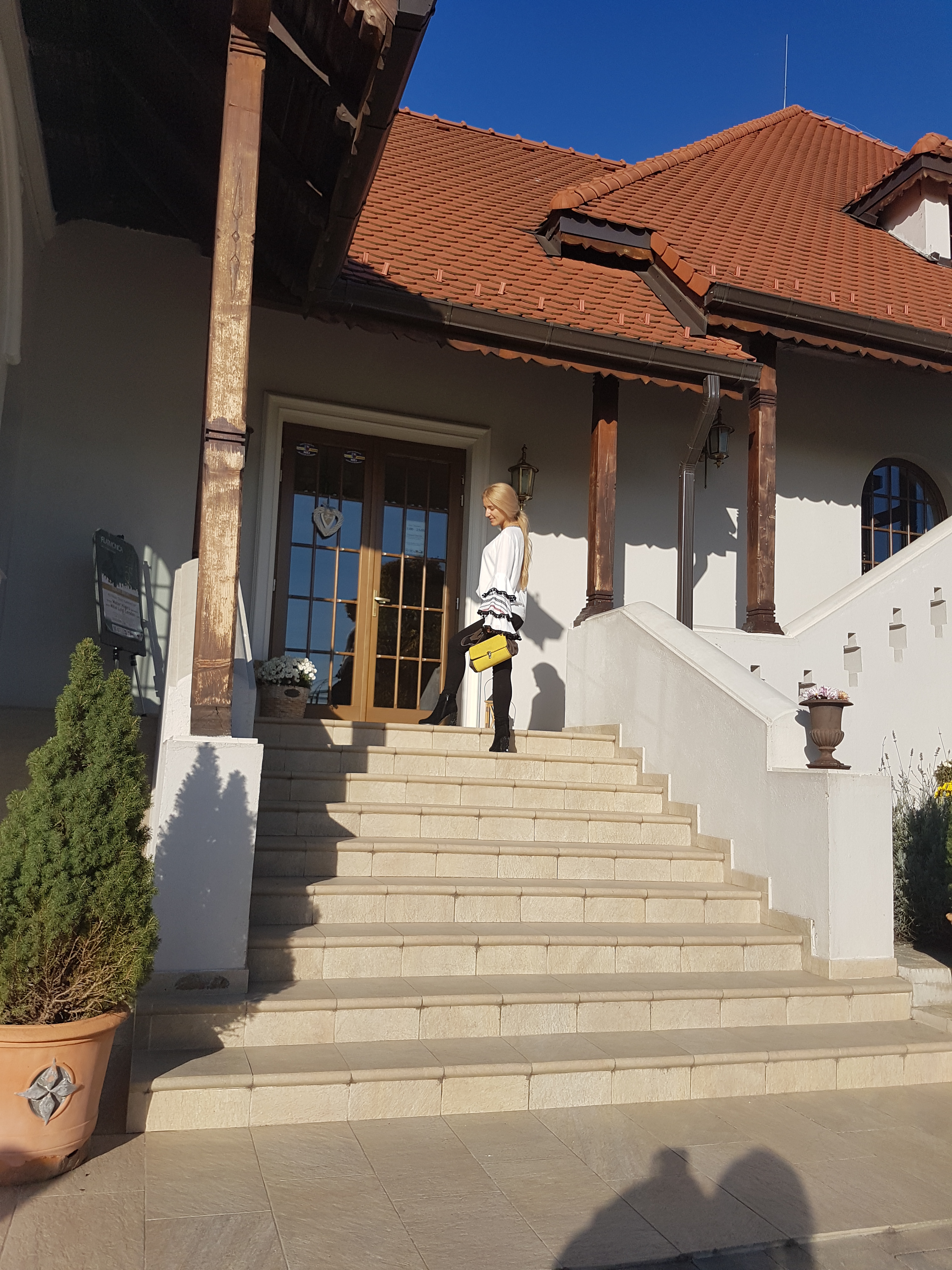 trepetele Conacului Domnitei Ralu Chitorani Ploiesti – Corina Costache