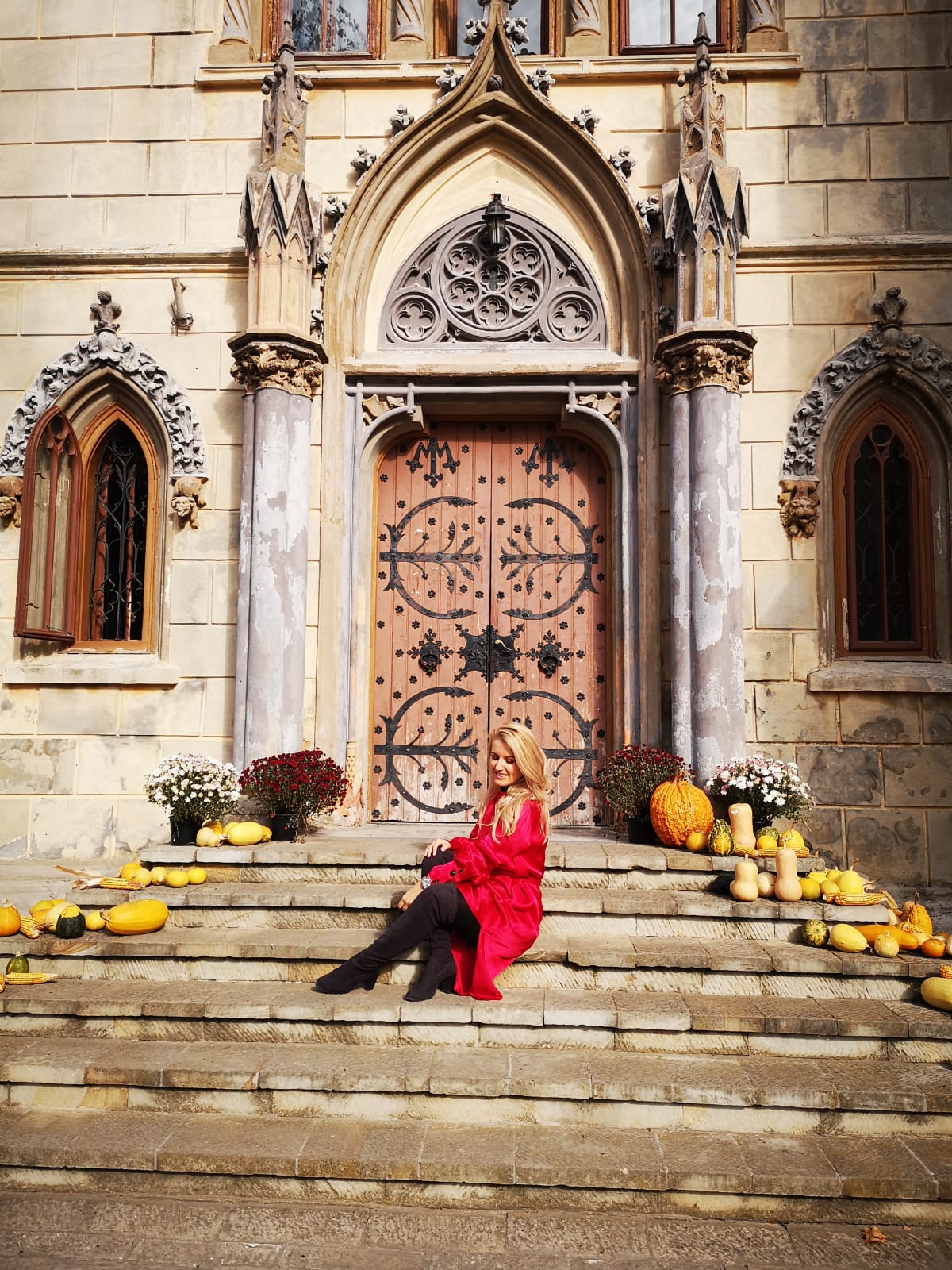 trepte castel Miclauseni – Corina Costache